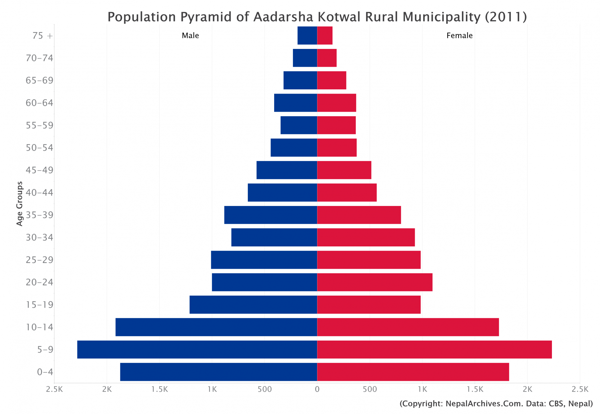 Population Pyramid of Aadarsha Kotwal Rural Municipality, Bara District ...
