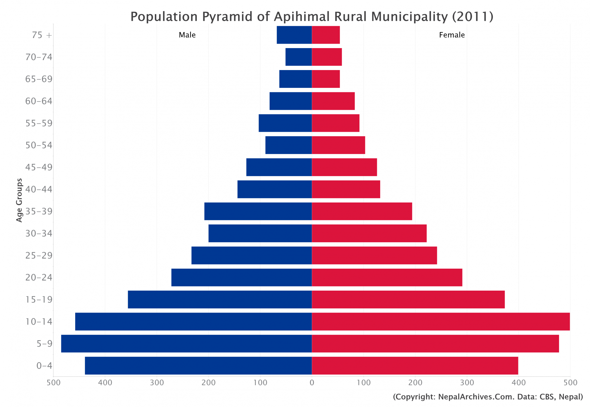Population Pyramid of Apihimal Rural Municipality, Darchula District ...