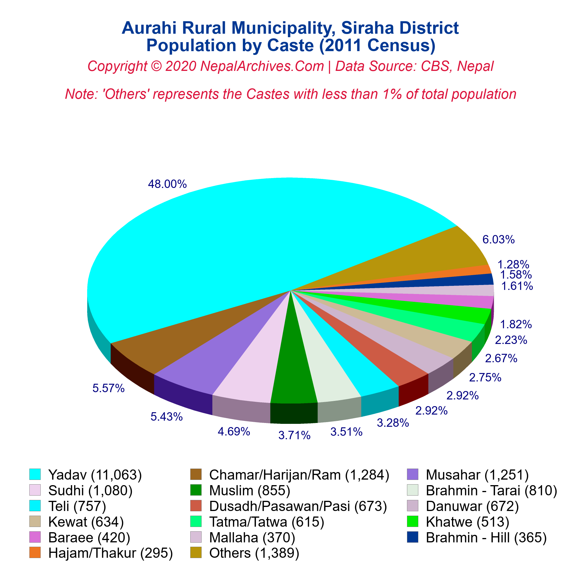 Caste-Based Population Pie Chart of Aurahi Rural Municipality, Siraha ...
