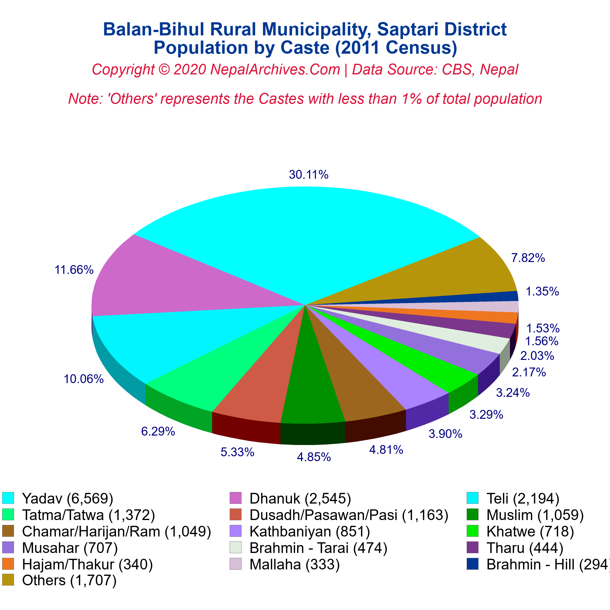 Caste-Based Population Pie Chart of Balan-Bihul Rural Municipality ...