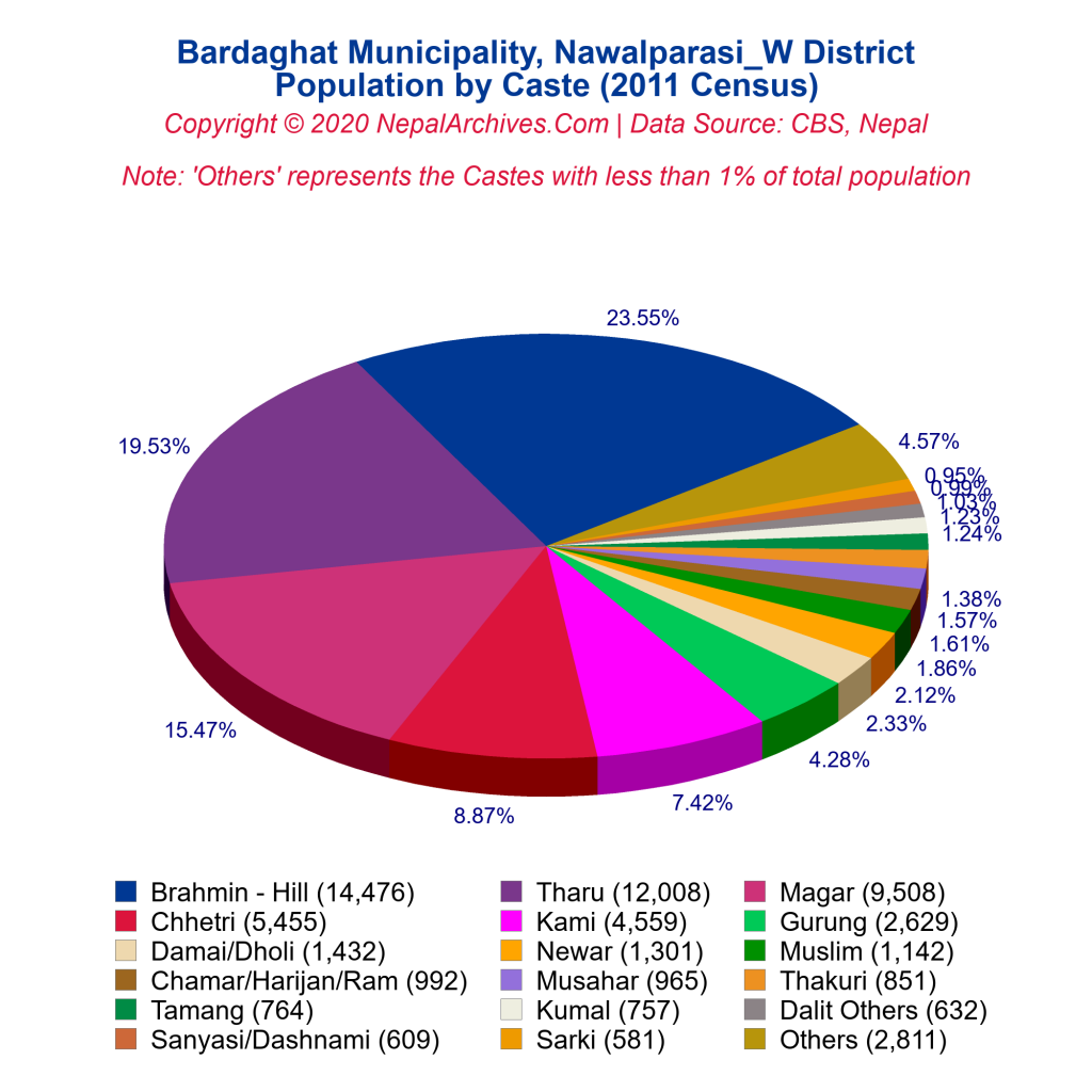 Caste-Based Population Pie Chart of Bardaghat Municipality, Nawalparasi ...