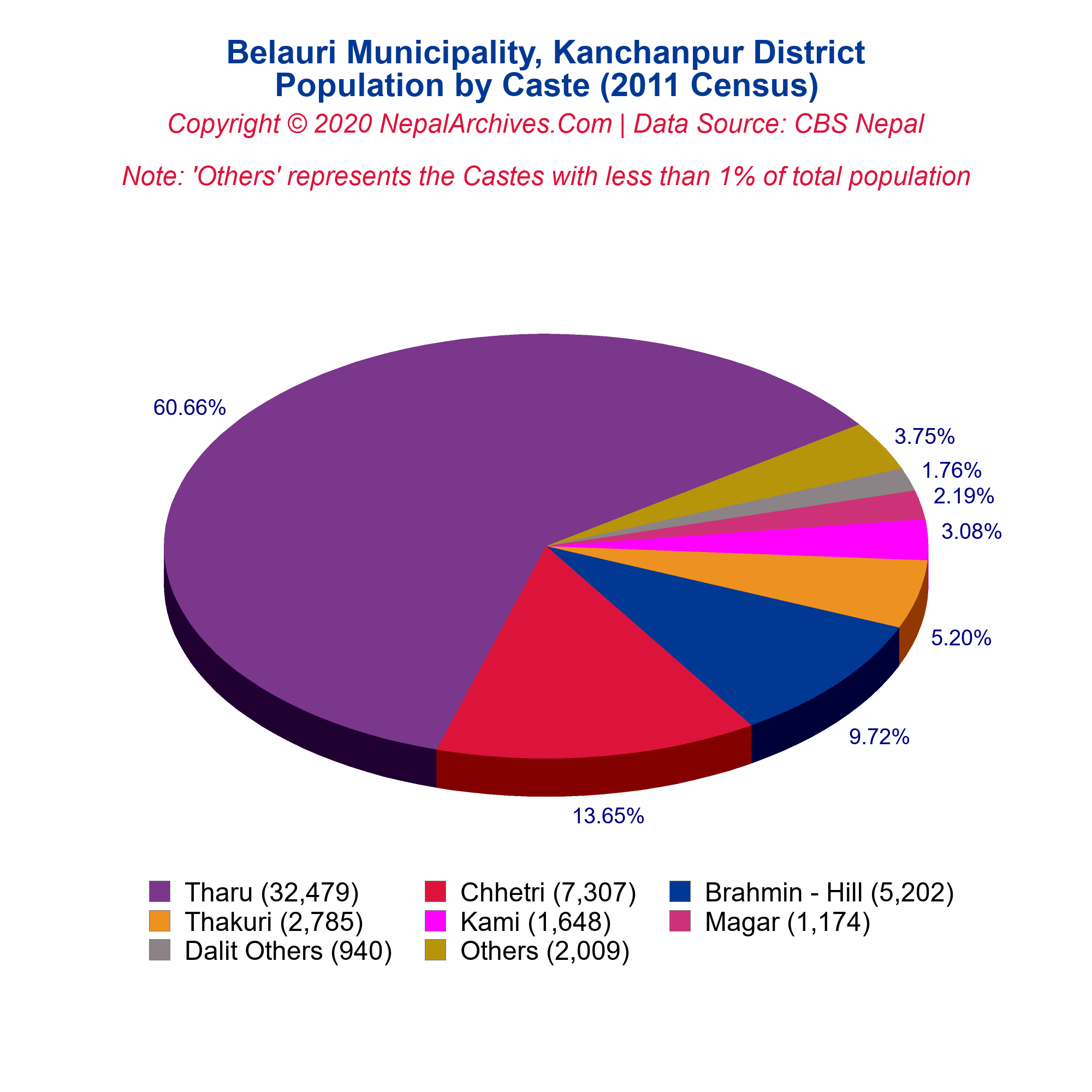 Caste-Based Population Pie Chart of Belauri Municipality, Kanchanpur ...
