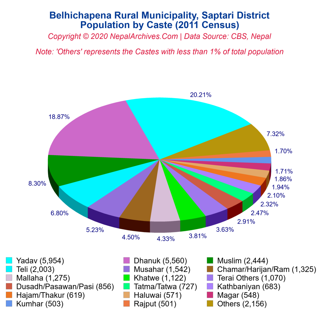 Caste-Based Population Pie Chart of Belhichapena Rural Municipality ...