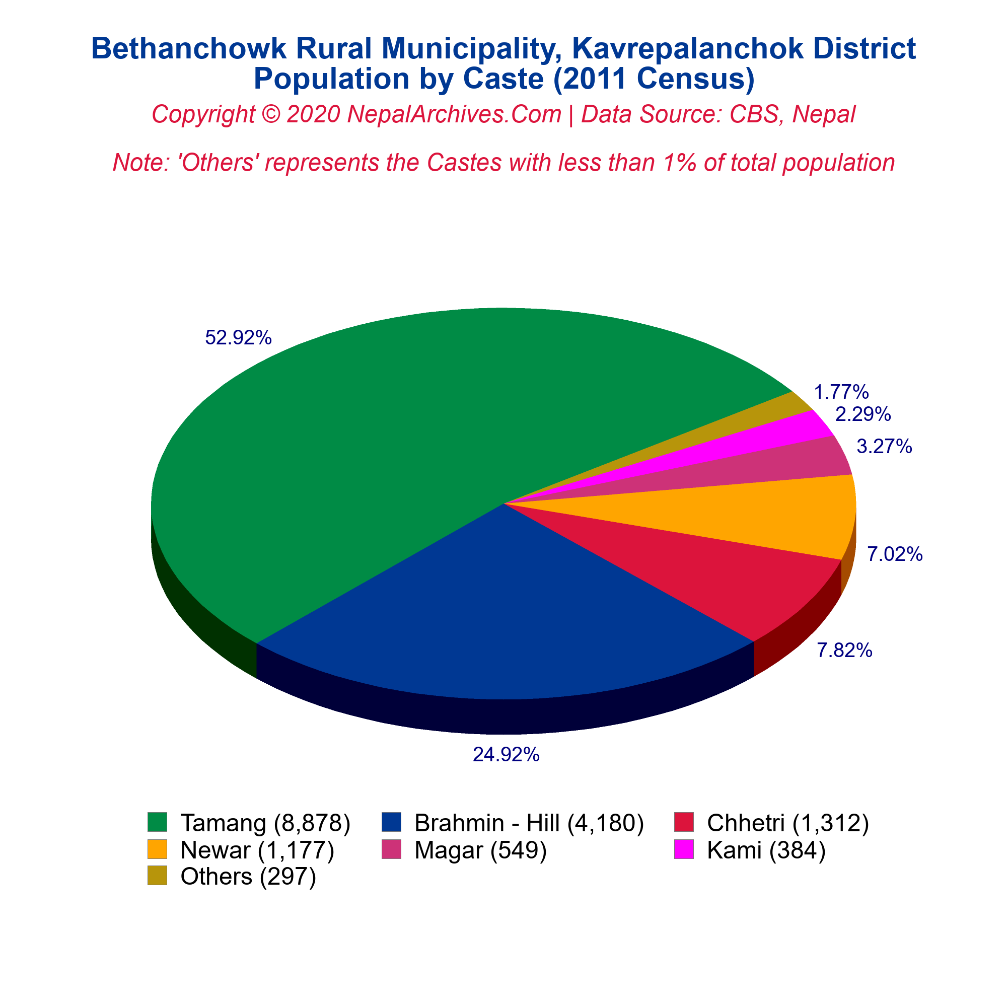 Caste-Based Population Pie Chart of Bethanchowk Rural Municipality ...
