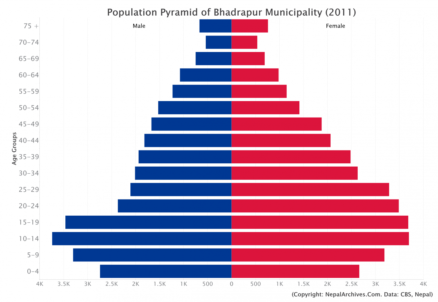 Bhadrapur Municipality Profile | Facts & Statistics – Nepal Archives