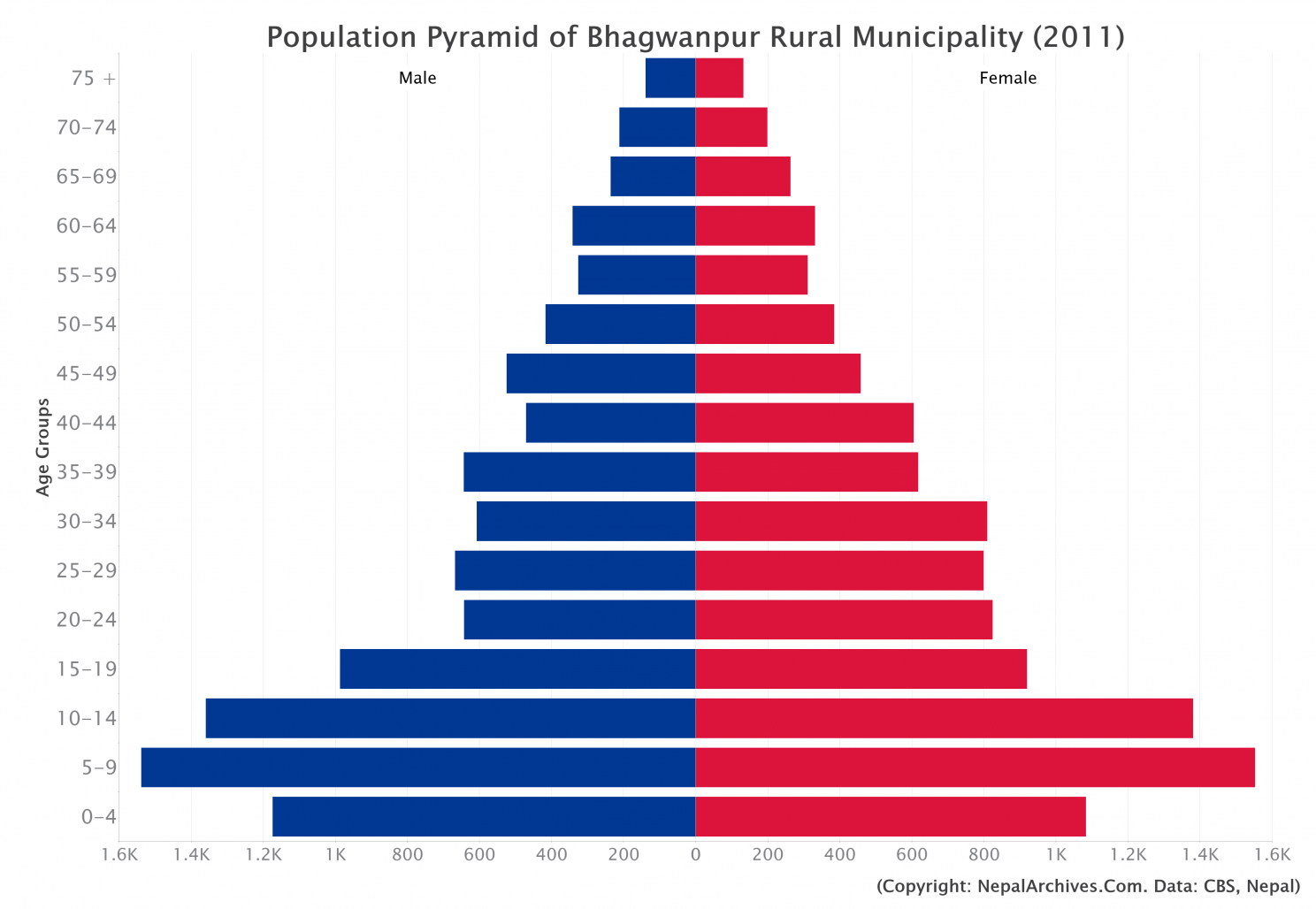 Population Pyramid of Bhagwanpur Rural Municipality, Siraha District ...