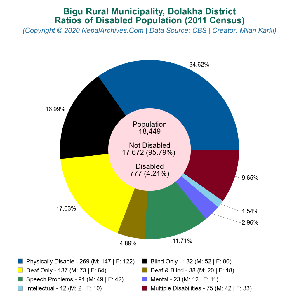 Disabled Population Pie Chart of Bigu Rural Municipality, Dolakha ...