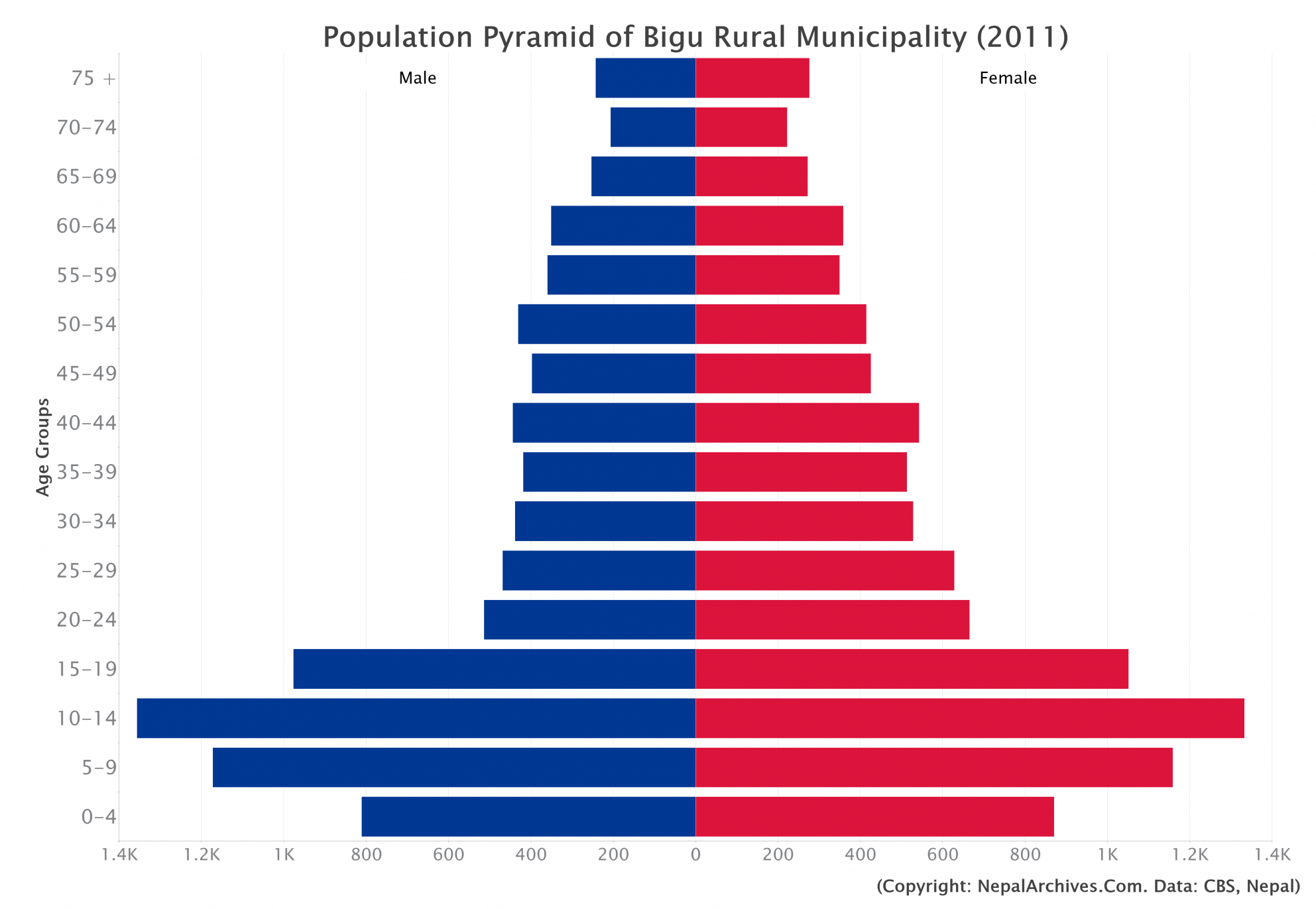 Population Pyramid of Bigu Rural Municipality, Dolakha District (2011 ...