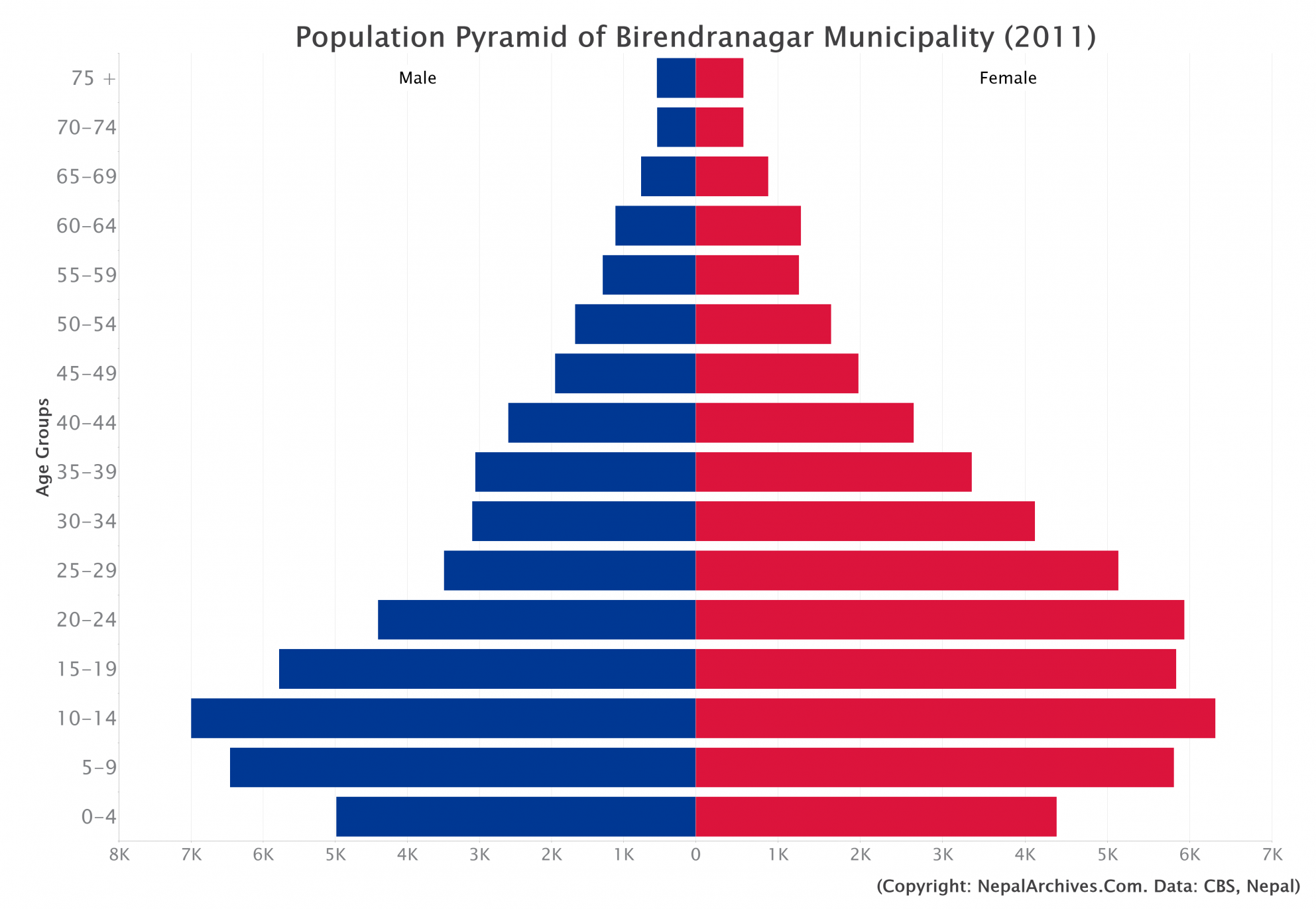 Birendranagar Municipality Profile | Facts & Statistics – Nepal Archives