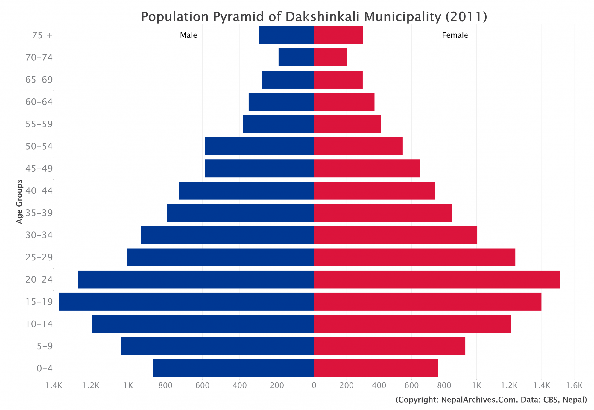 Population Pyramid of Dakshinkali Municipality, Kathmandu District ...