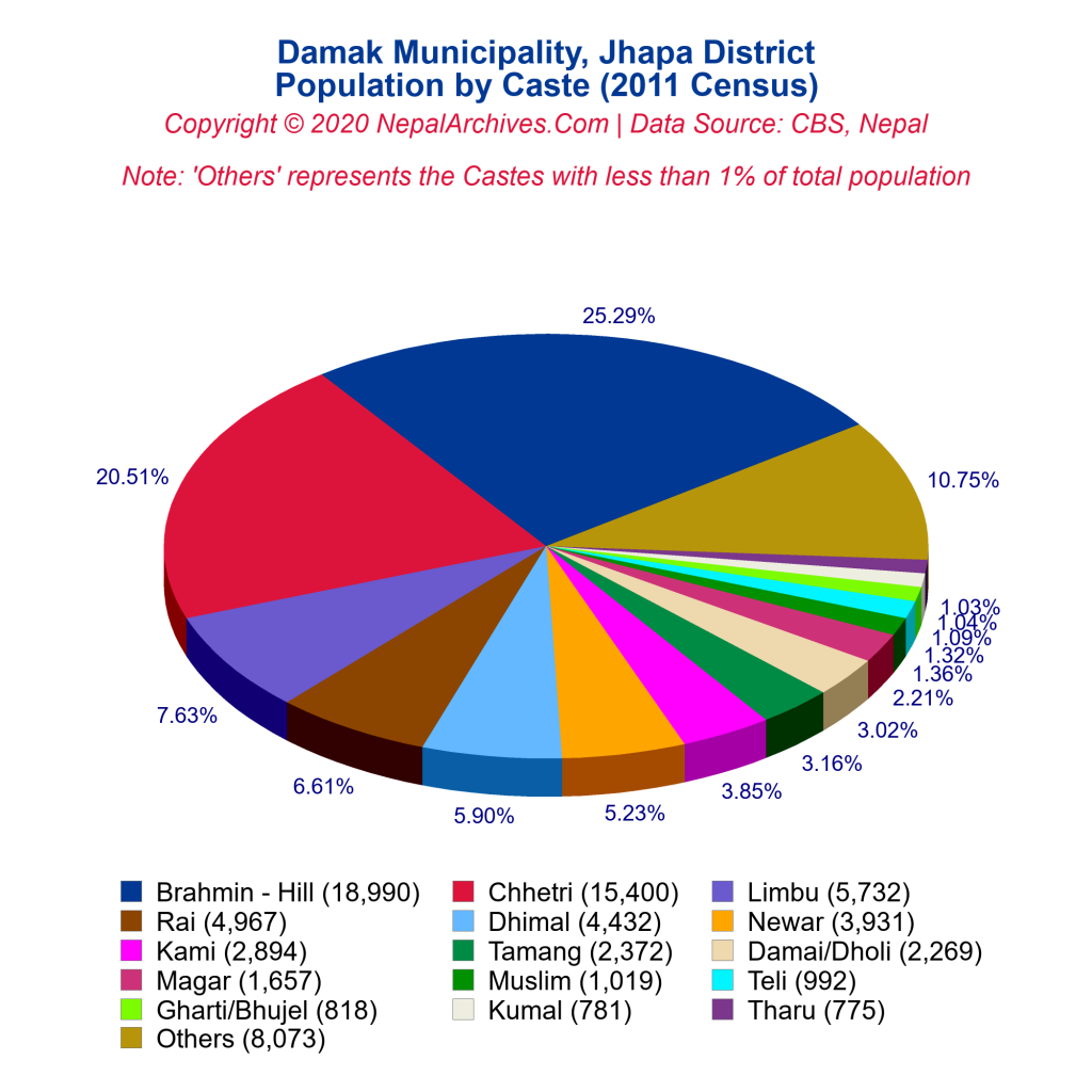 Caste-Based Population Pie Chart of Damak Municipality, Jhapa District ...