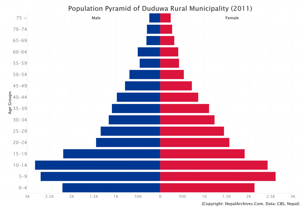 Population Pyramid of Duduwa Rural Municipality, Banke District (2011 ...