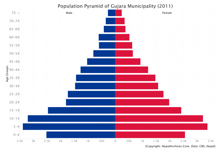 Gujara Municipality Profile | Facts & Statistics – Nepal Archives