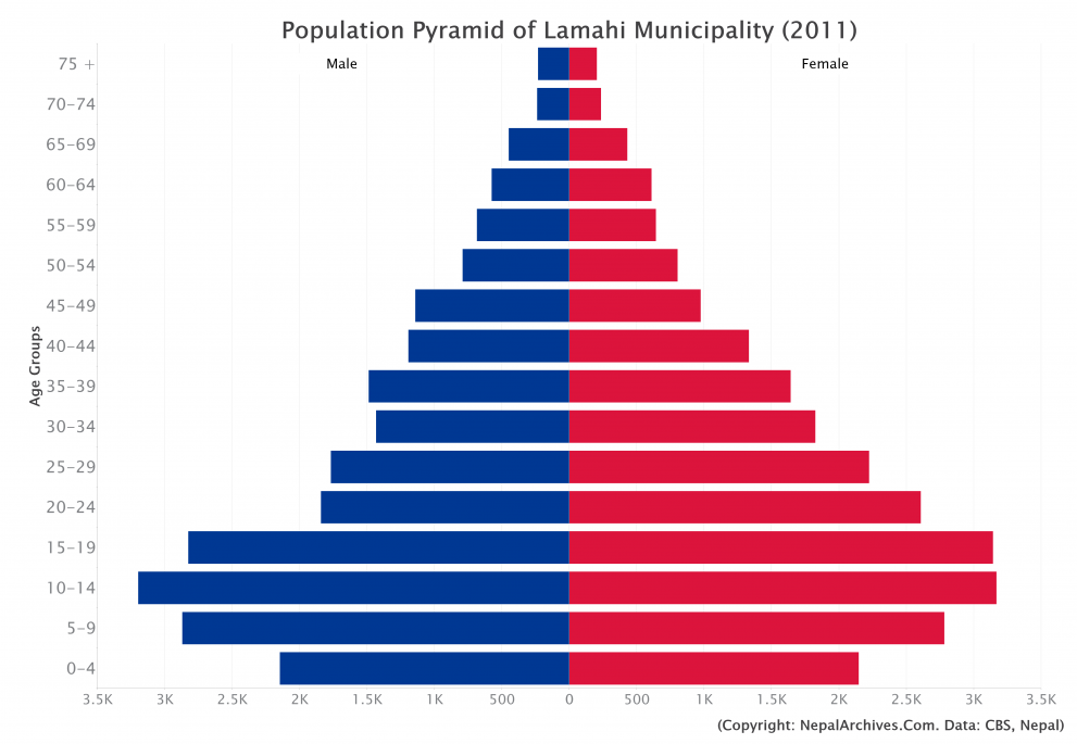 Lamahi Municipality Profile | Facts & Statistics – Nepal Archives