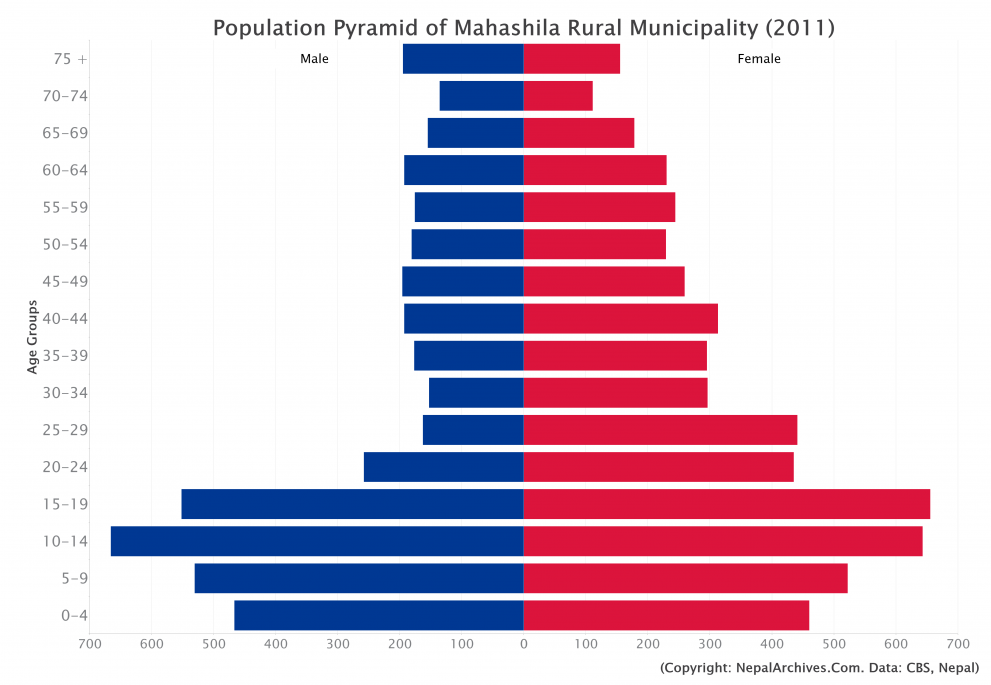 Population Pyramid of Mahashila Rural Municipality, Parbat District ...