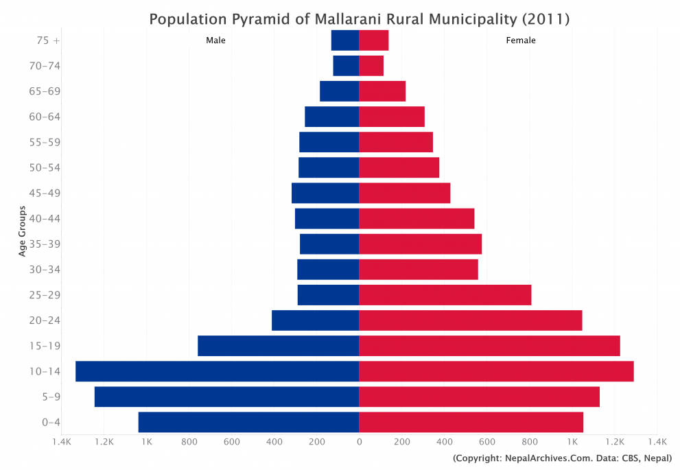 Population Pyramid of Mallarani Rural Municipality, Pyuthan District ...