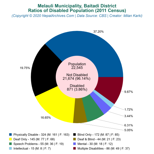 Disabled Population Pie Chart of Melauli Municipality, Baitadi District ...