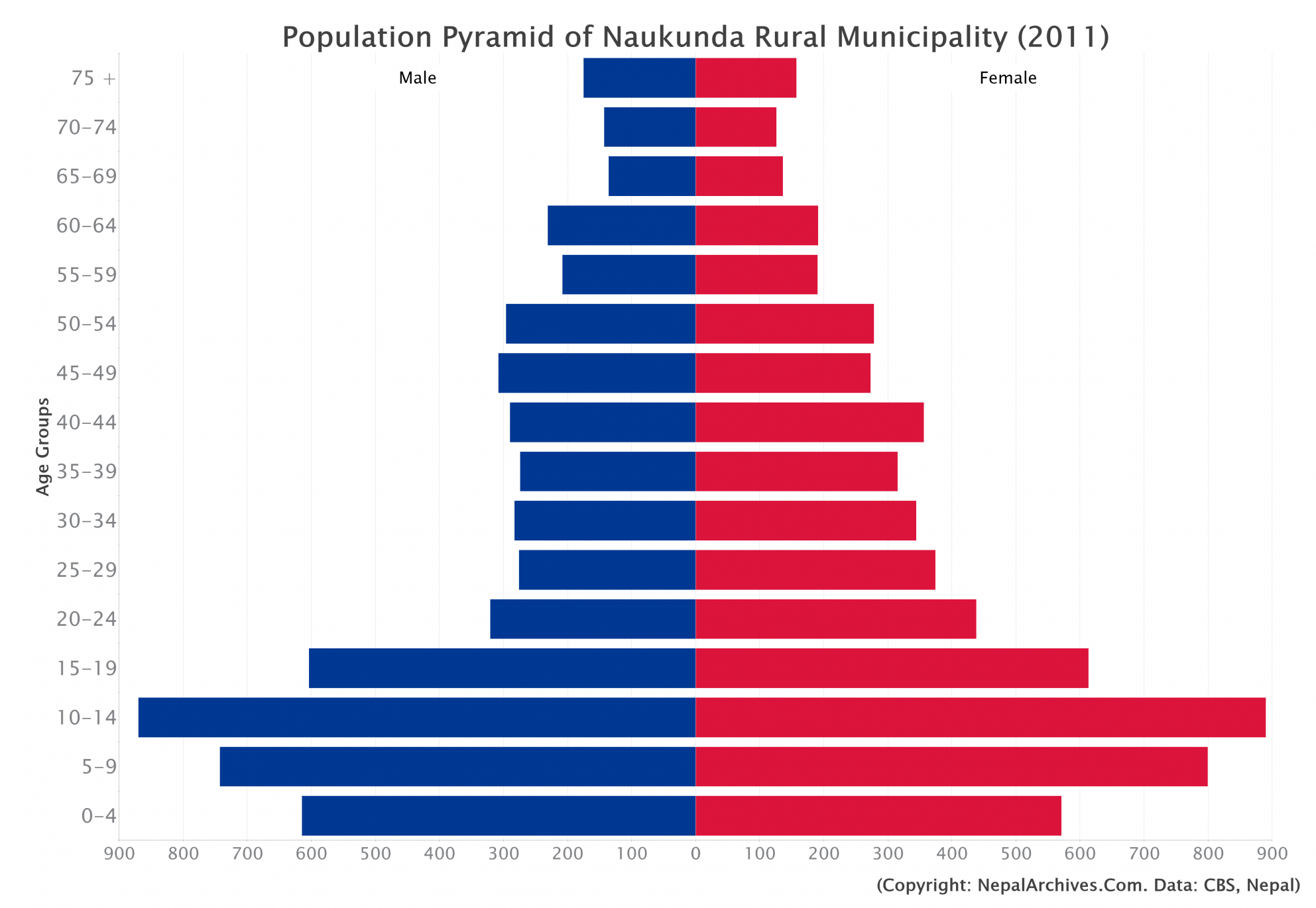 Population Pyramid of Naukunda Rural Municipality, Rasuwa District ...