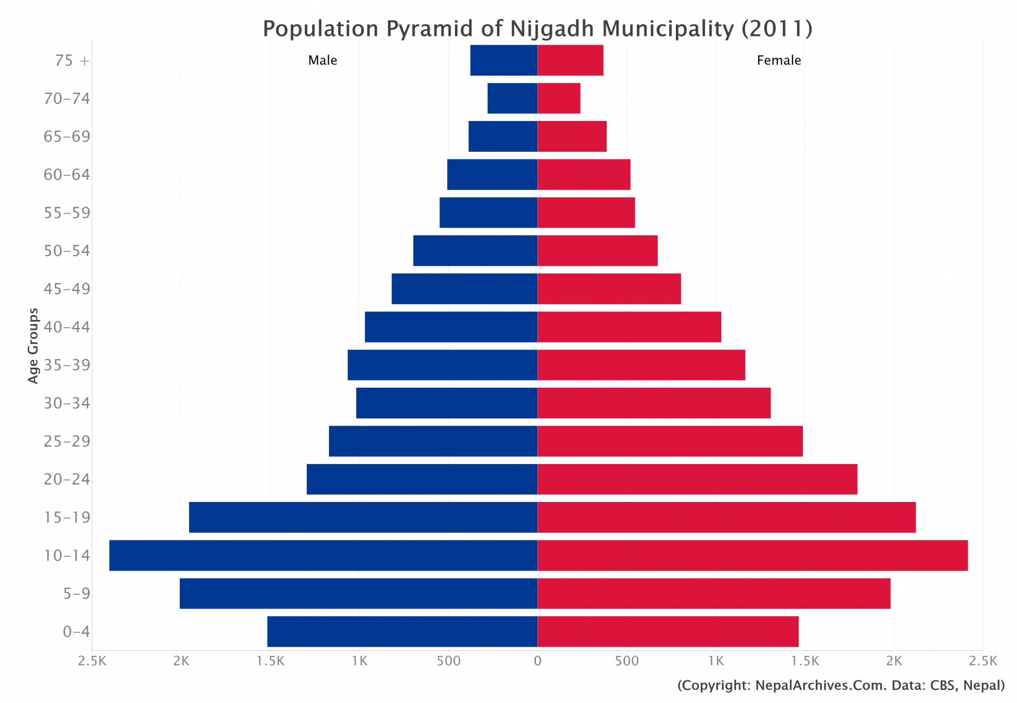 Population Pyramid of Nijgadh Municipality, Bara District (2011 Census ...
