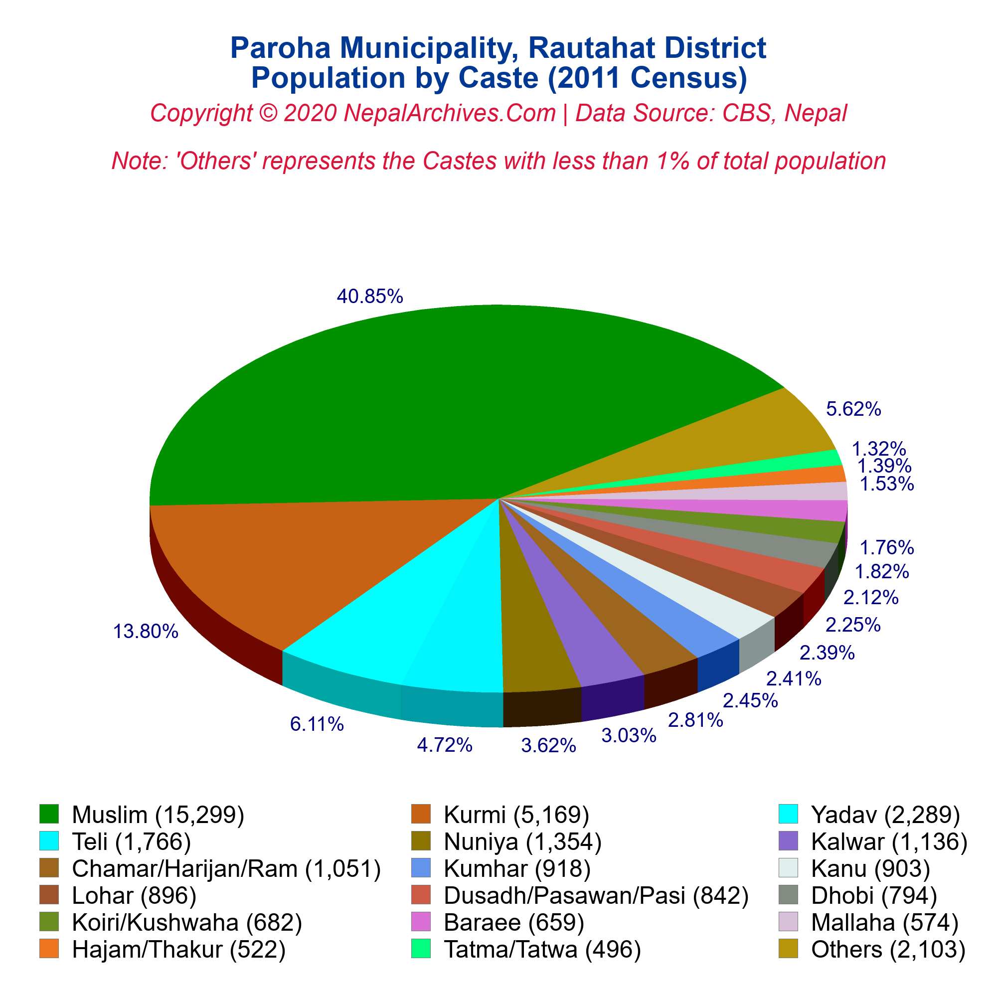 Caste-Based Population Pie Chart of Paroha Municipality, Rautahat ...