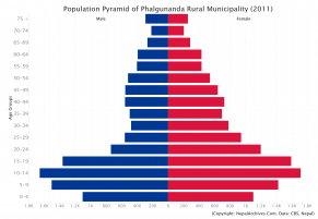 Population Pyramid of Phalgunanda Rural Municipality, Panchthar ...