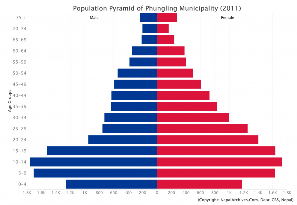 Population Pyramid of Phungling Municipality, Taplejung District (2011 ...