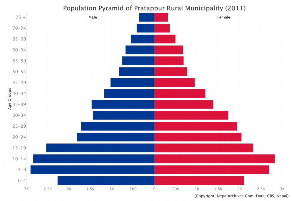 Population Pyramid of Pratappur Rural Municipality, Nawalparasi_W ...