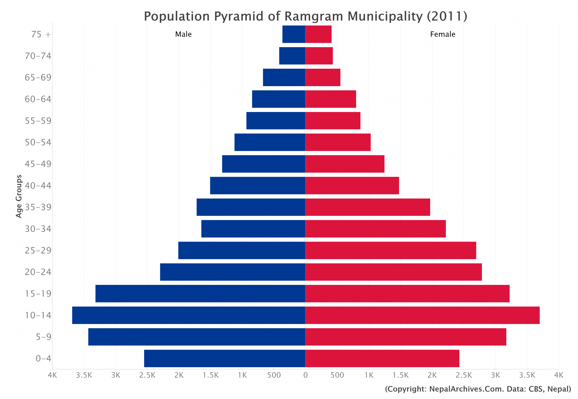 Population Pyramid of Ramgram Municipality, Nawalparasi_W District ...