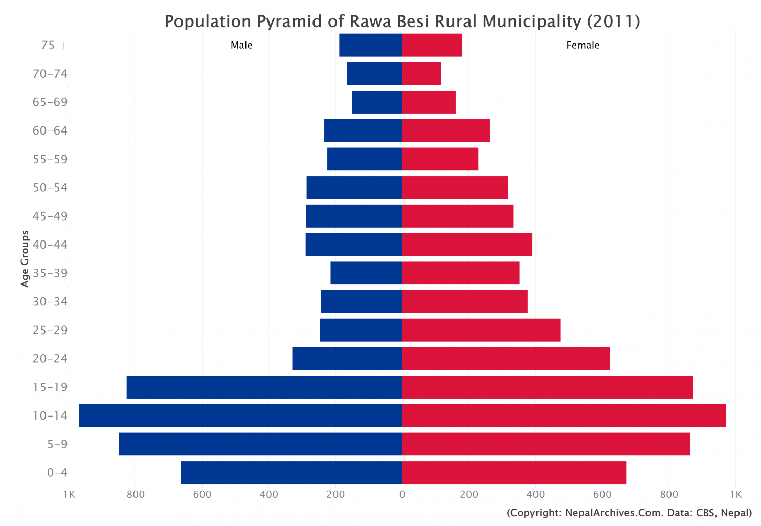 Population Pyramid of Rawa Besi Rural Municipality, Khotang District ...
