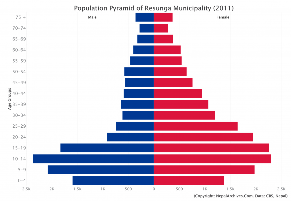 Population Pyramid of Resunga Municipality, Gulmi District (2011 Census ...