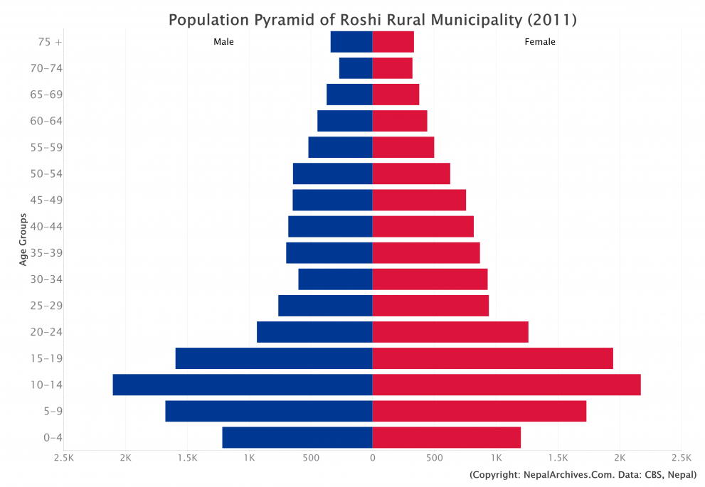 Population Pyramid of Roshi Rural Municipality, Kavrepalanchok District ...