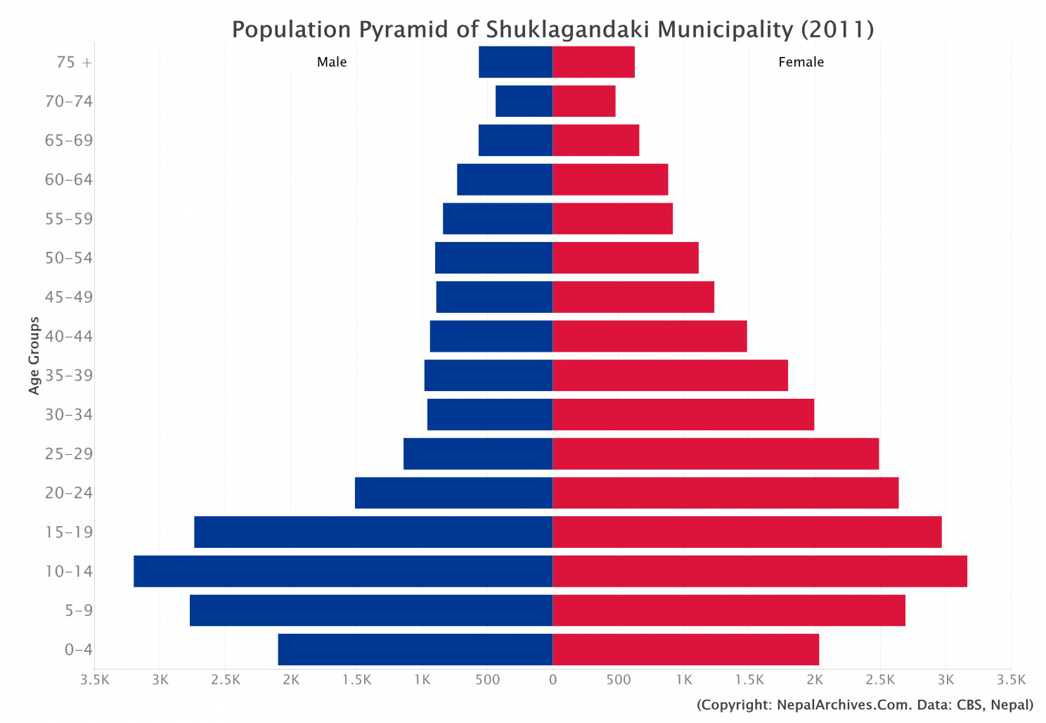 Population Pyramid of Shuklagandaki Municipality, Tanahun District ...