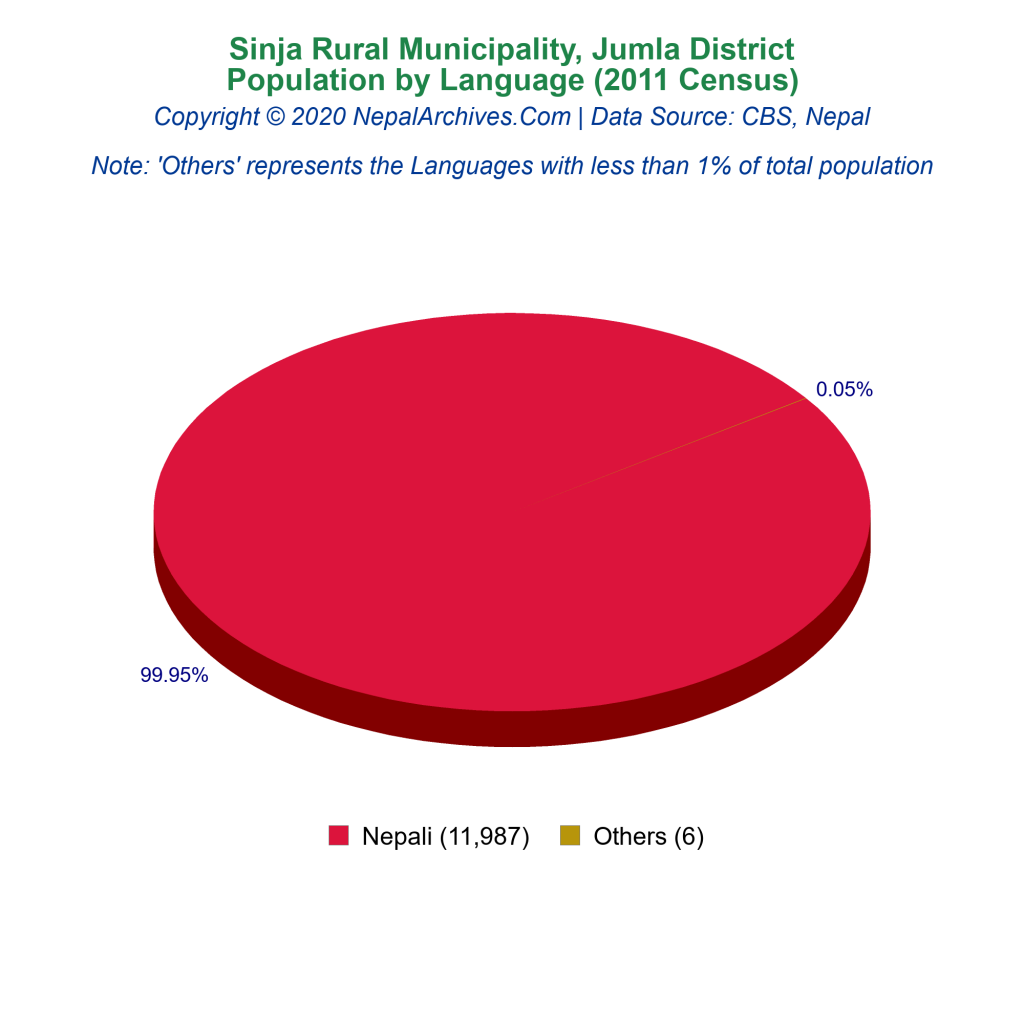 Population by Language Spoken Pie Chart of Sinja Rural Municipality ...
