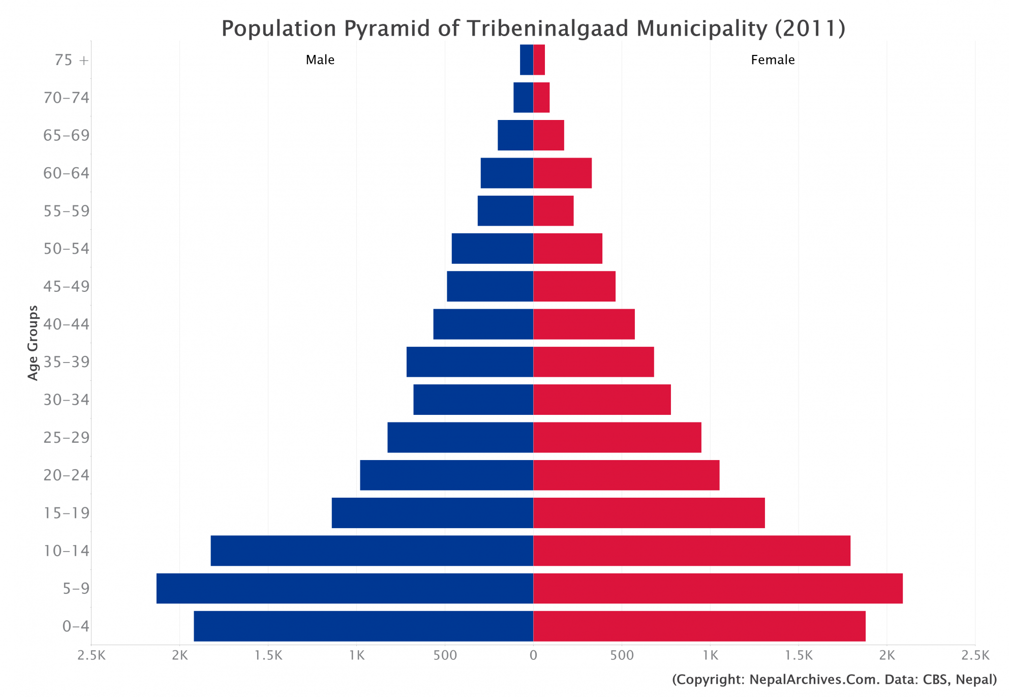 Population Pyramid of Tribeninalgaad Municipality, Jajarkot District ...
